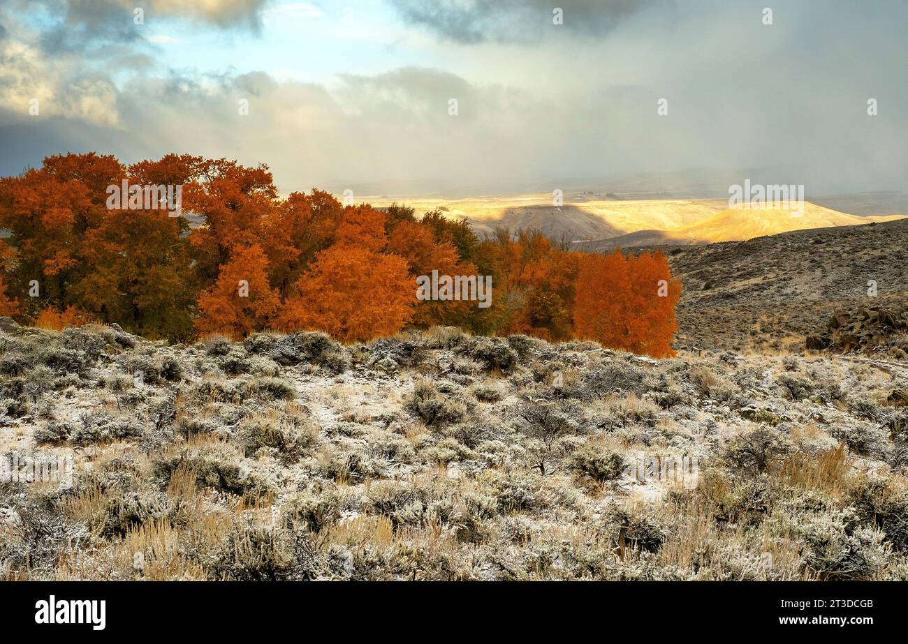 Hartman Rocks Recreation Area. 14th Oct, 2023. The light of an Autumn ...