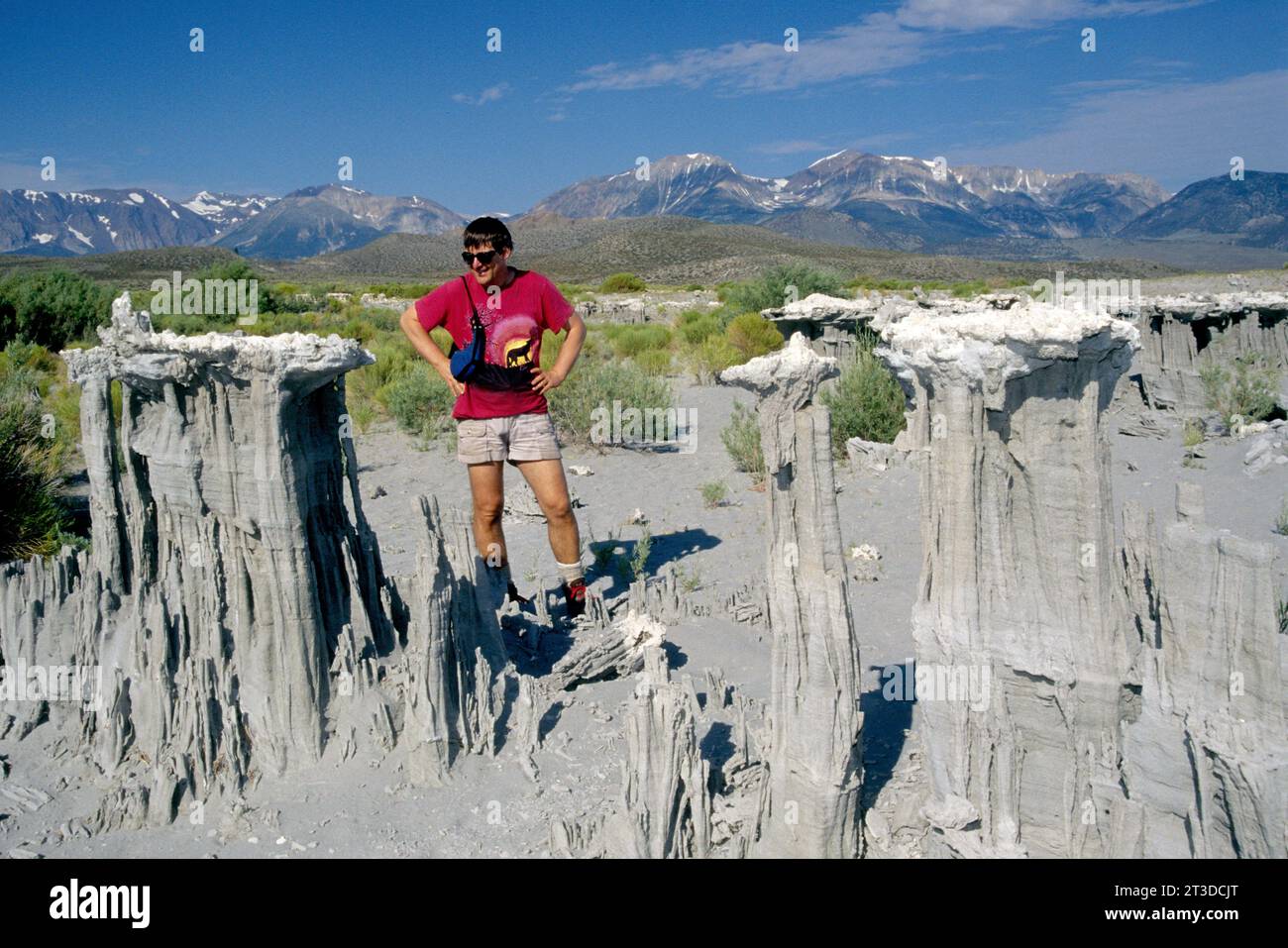 Sand tufa at Navy Beach, Mono Lake State Reserve, Mono Basin National ...