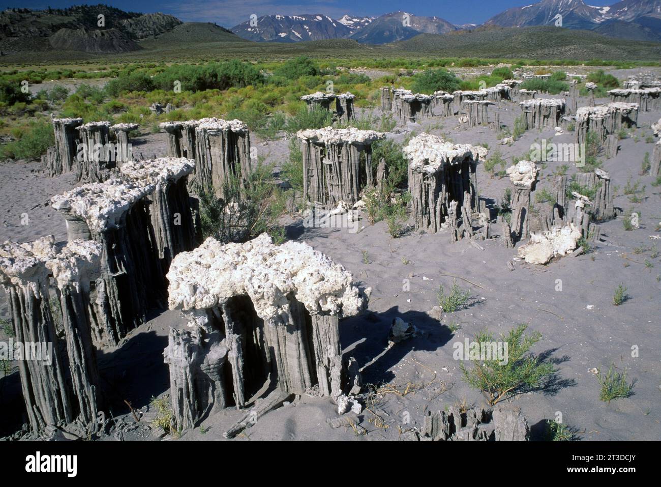 Sand tufa at Navy Beach, Mono Lake State Reserve, Mono Basin National ...
