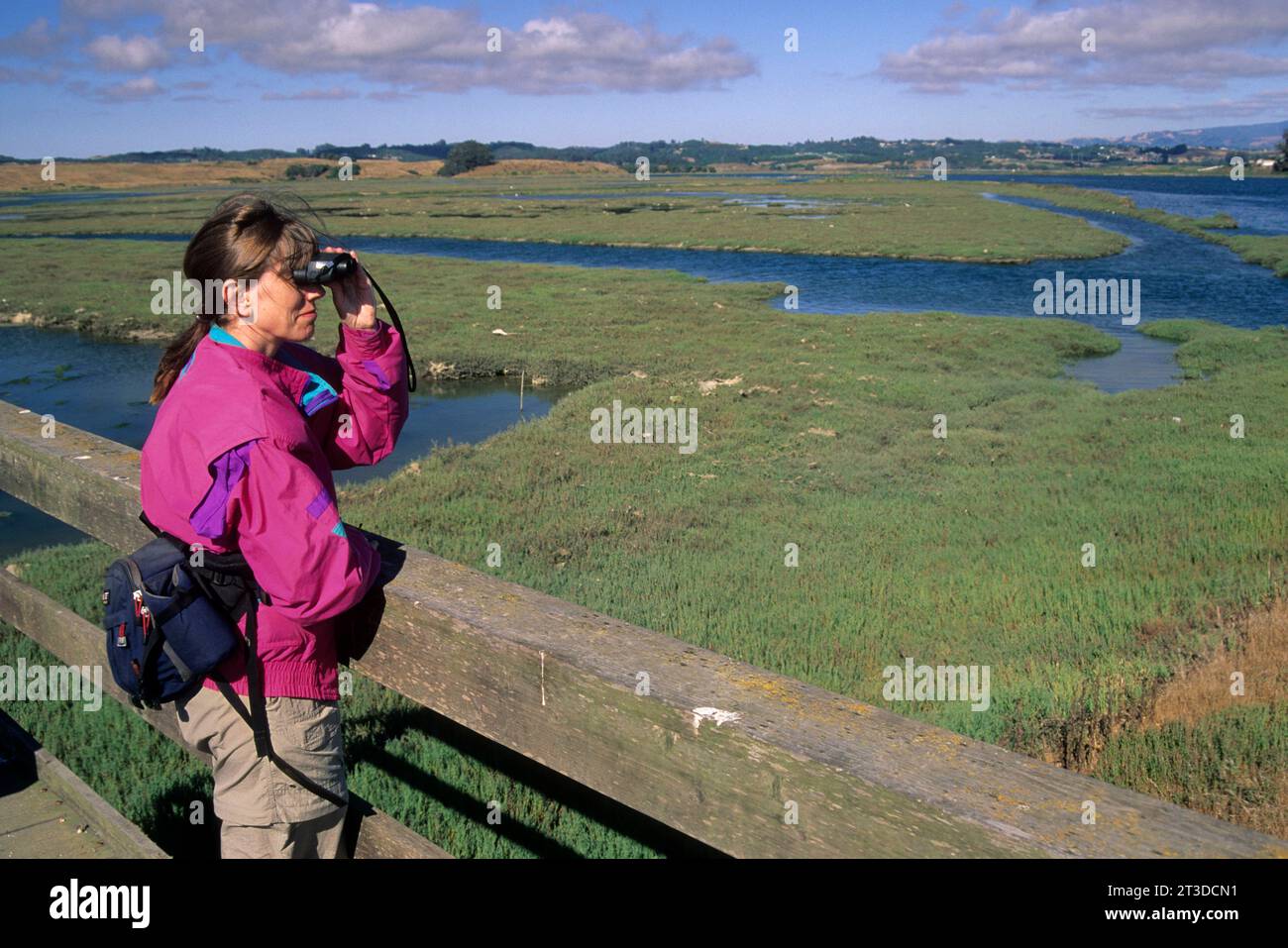 Birdwatching, Moss Landing Wildlife Area, Elkhorn Slough National ...