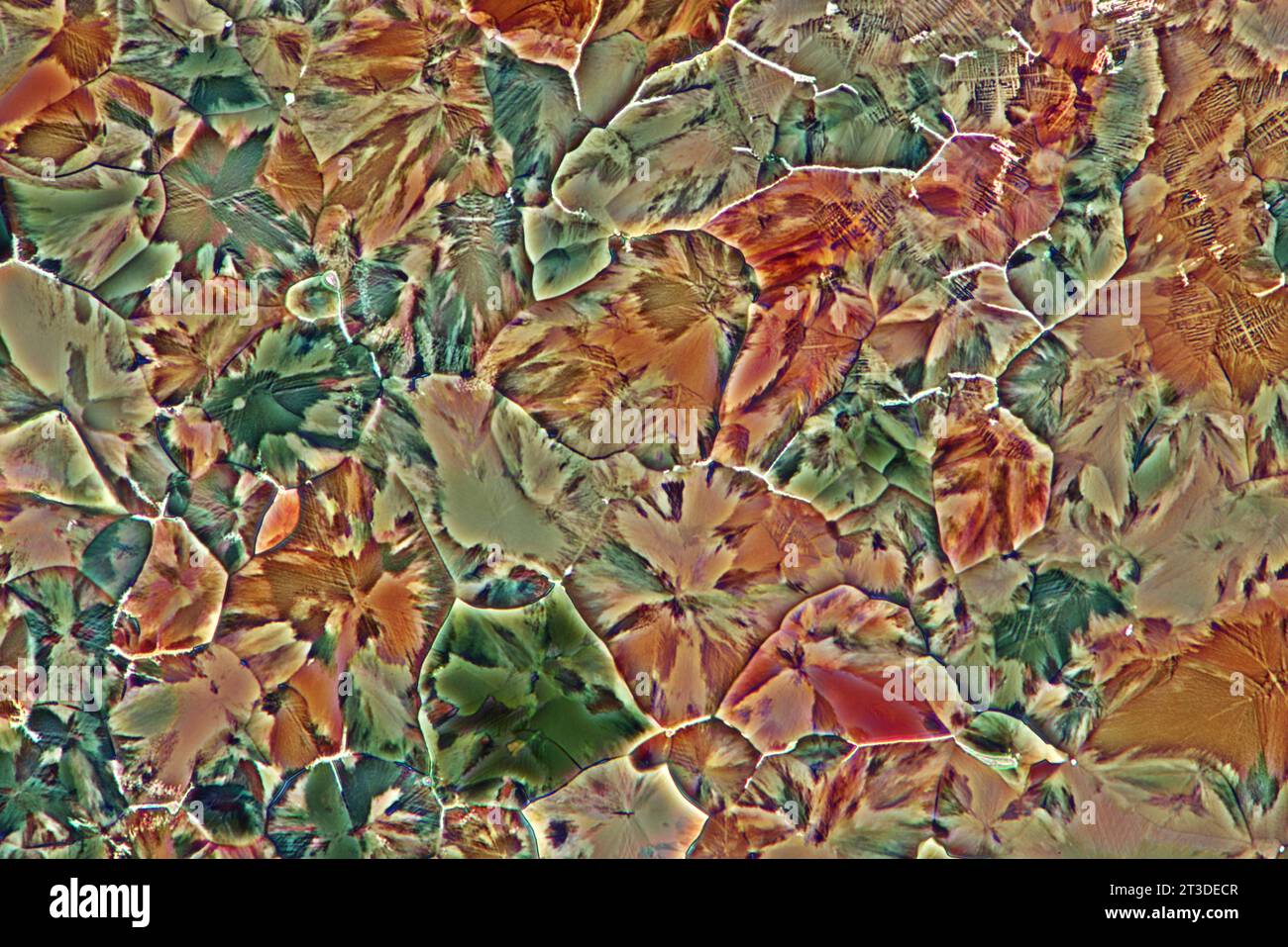 Erythritol, TRIS and hydroquinone crystals, light micrograph Stock ...