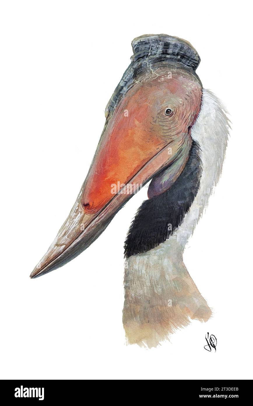 Lacusovagus pterosaur, illustration Stock Photo - Alamy