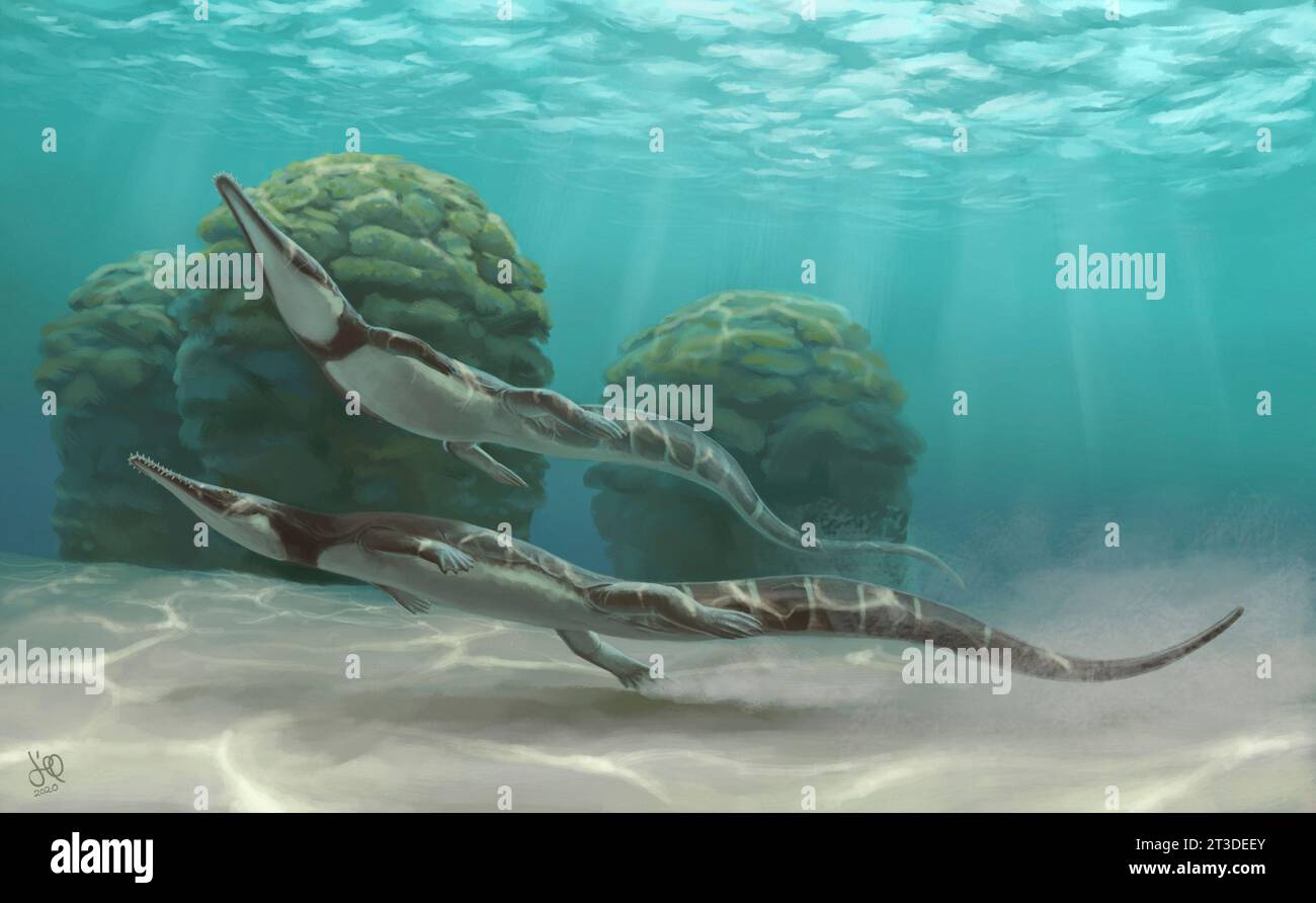 Stereosternum prehistoric marine reptiles, illustration Stock Photo - Alamy