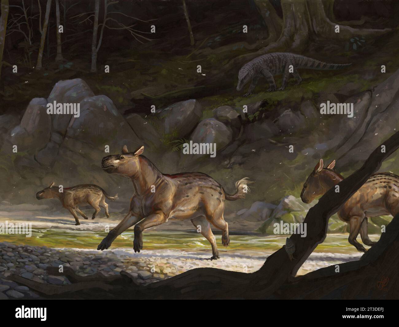 Lamegoia and Sahitisuchus, illustration Stock Photo - Alamy