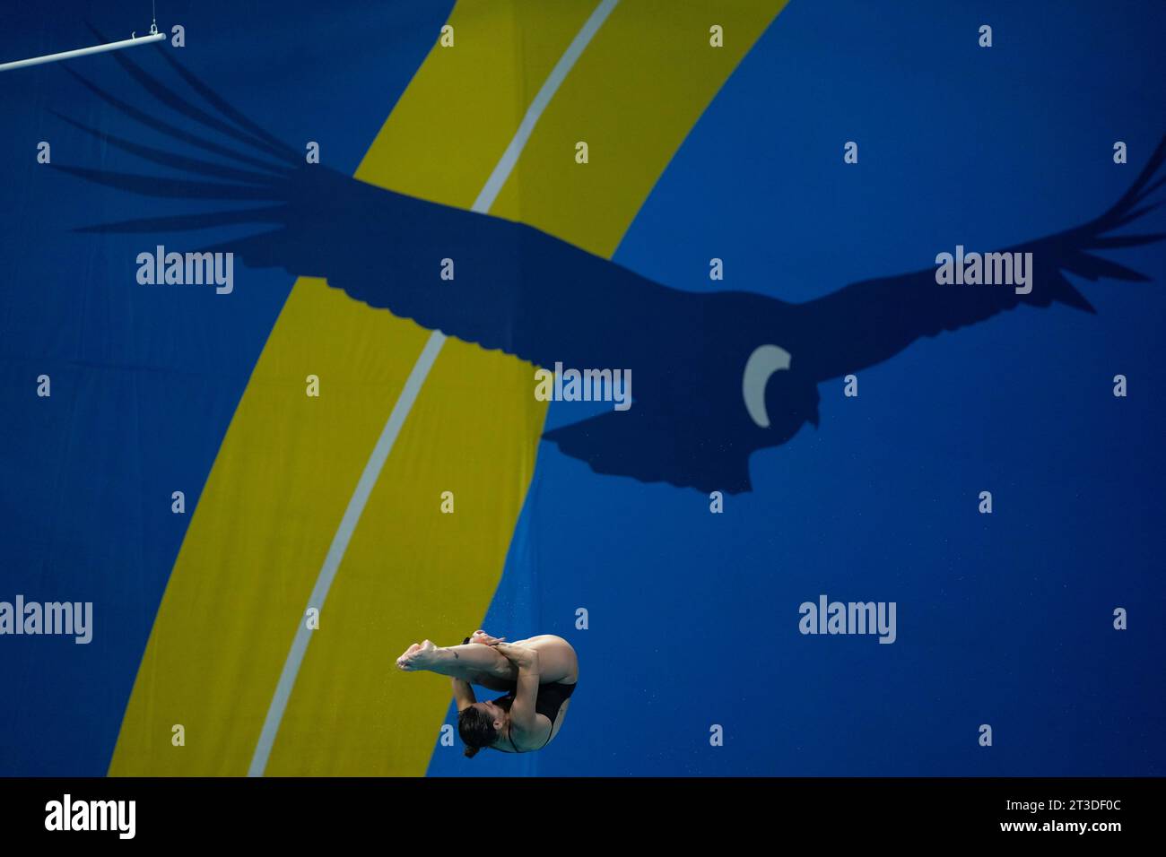 Canada's Pamela Ware competes in the women's 3m springboard ...
