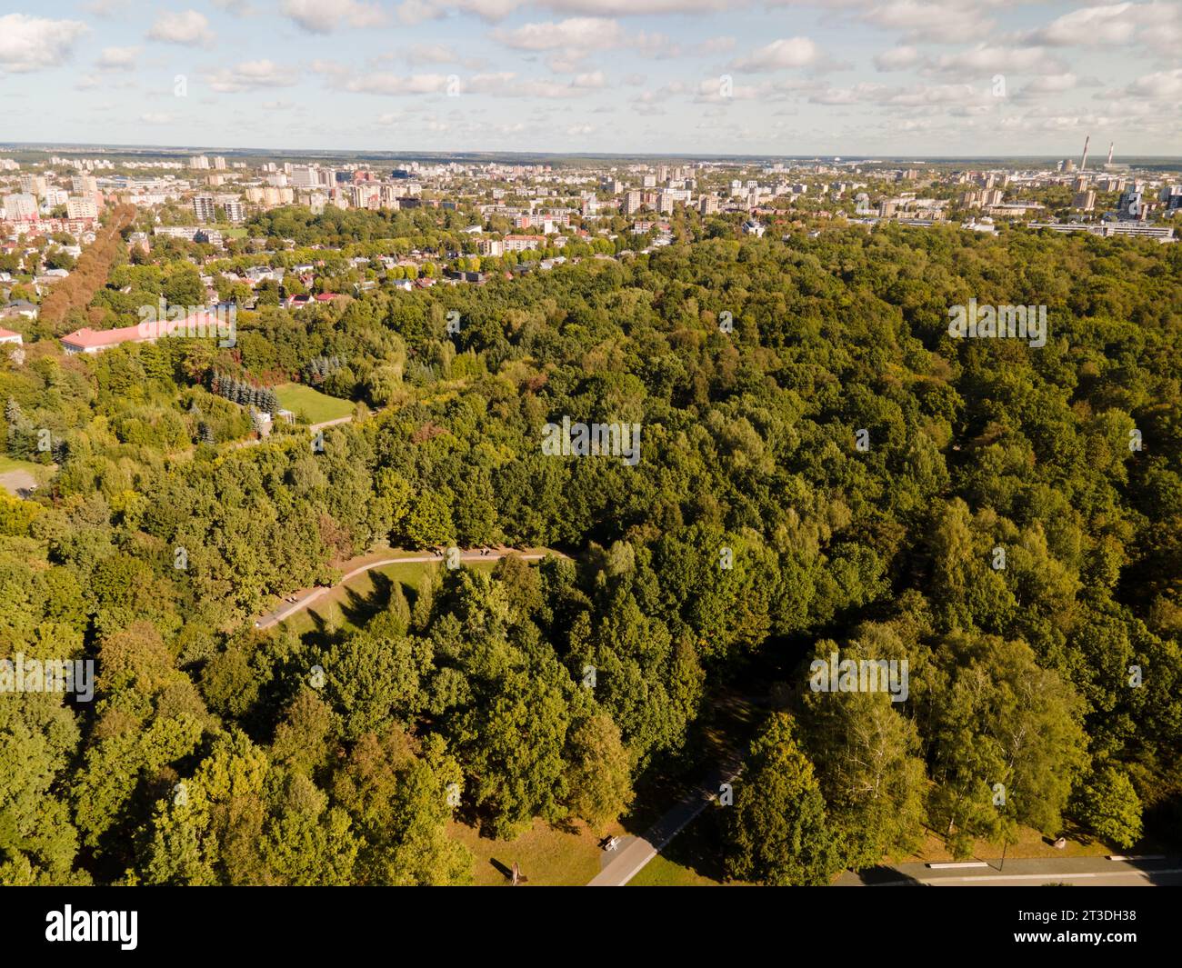 An aerial view of a bustling city, with a vast forest landscape: Oak ...