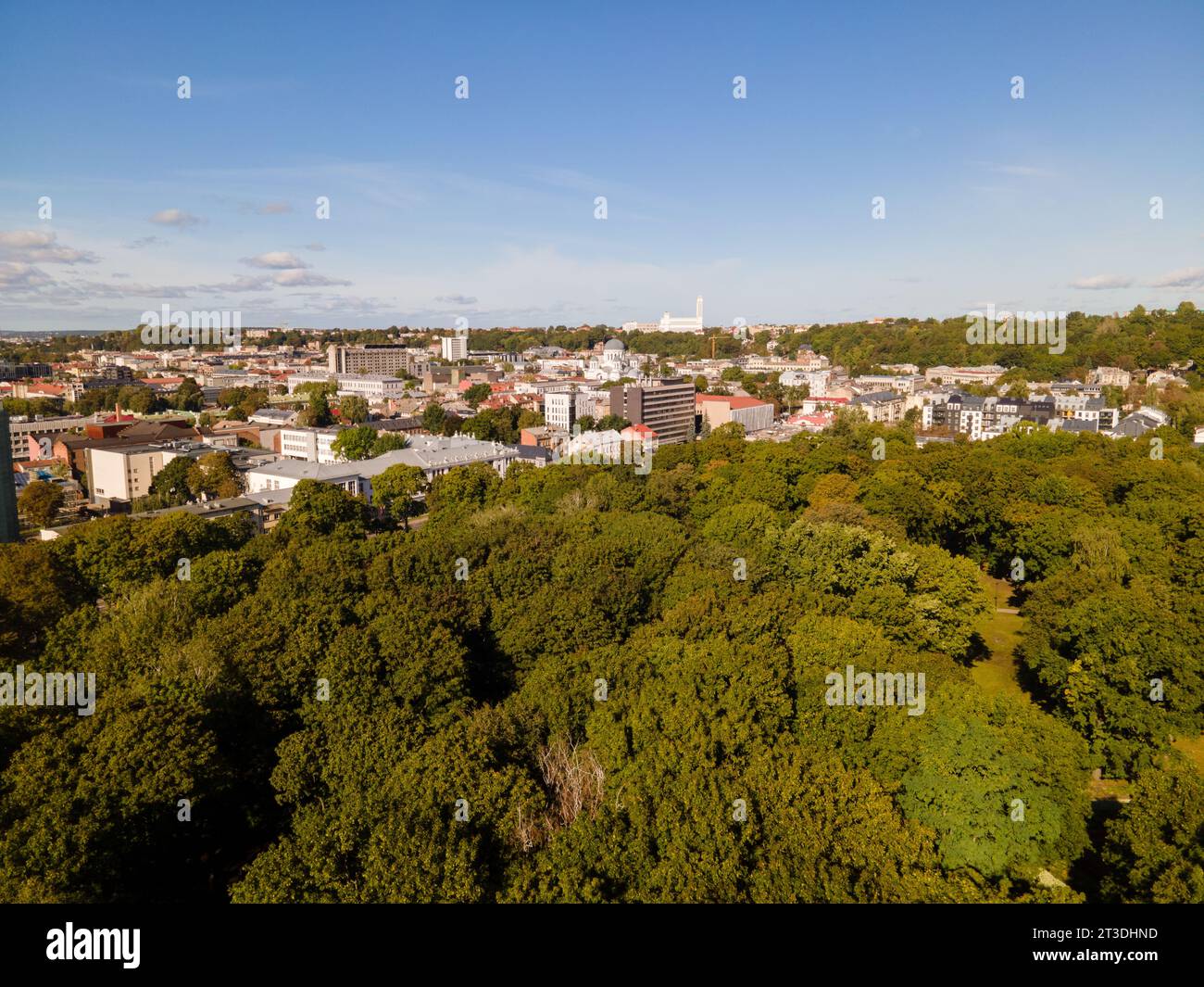 An aerial view of a bustling city, with a vast forest landscape: Oak ...