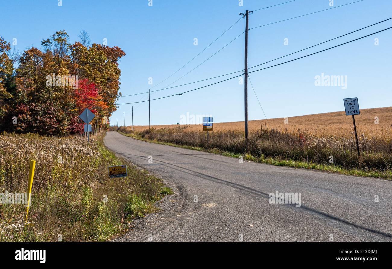 Political sign telephone pole hi-res stock photography and images - Alamy