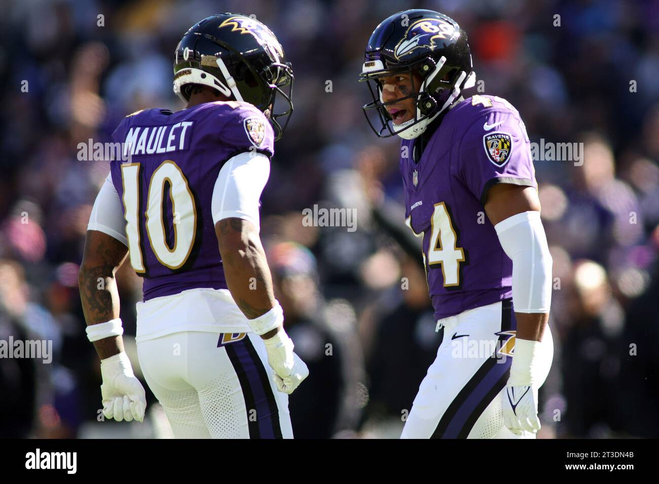 Baltimore Ravens cornerback Arthur Maulet (10) celebrates with ...