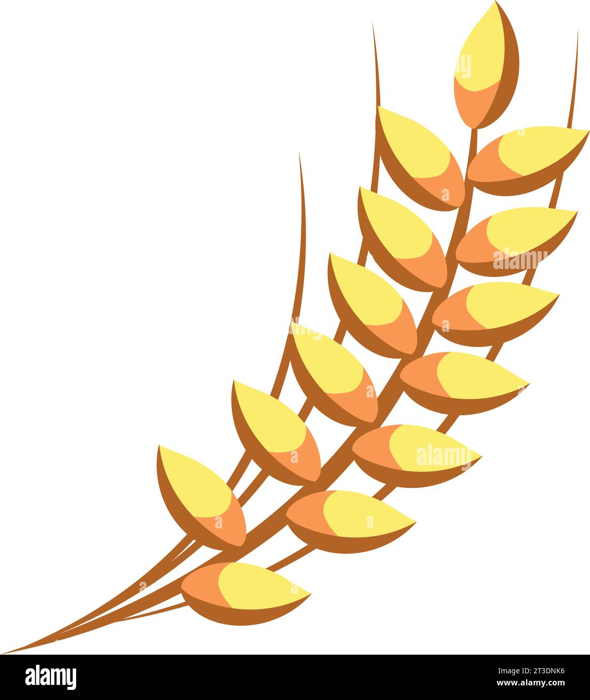 Close up grass spike Cut Out Stock Images & Pictures - Alamy