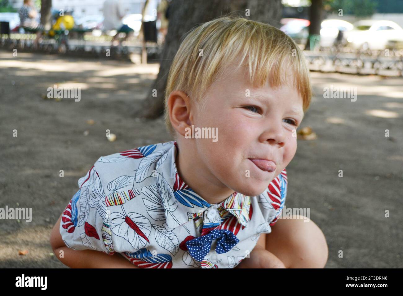 Blond boy 4 years old playing on a children playground and has fun ...