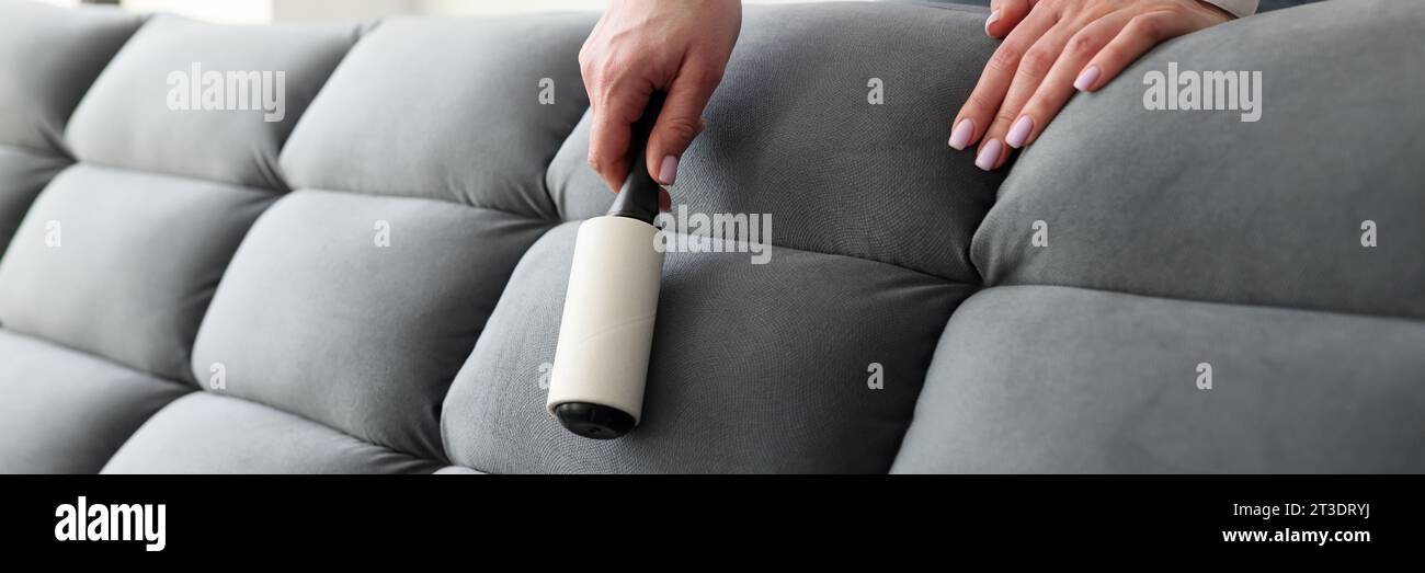 Young woman hand cleans grey sofa using lint roller Stock Photo - Alamy