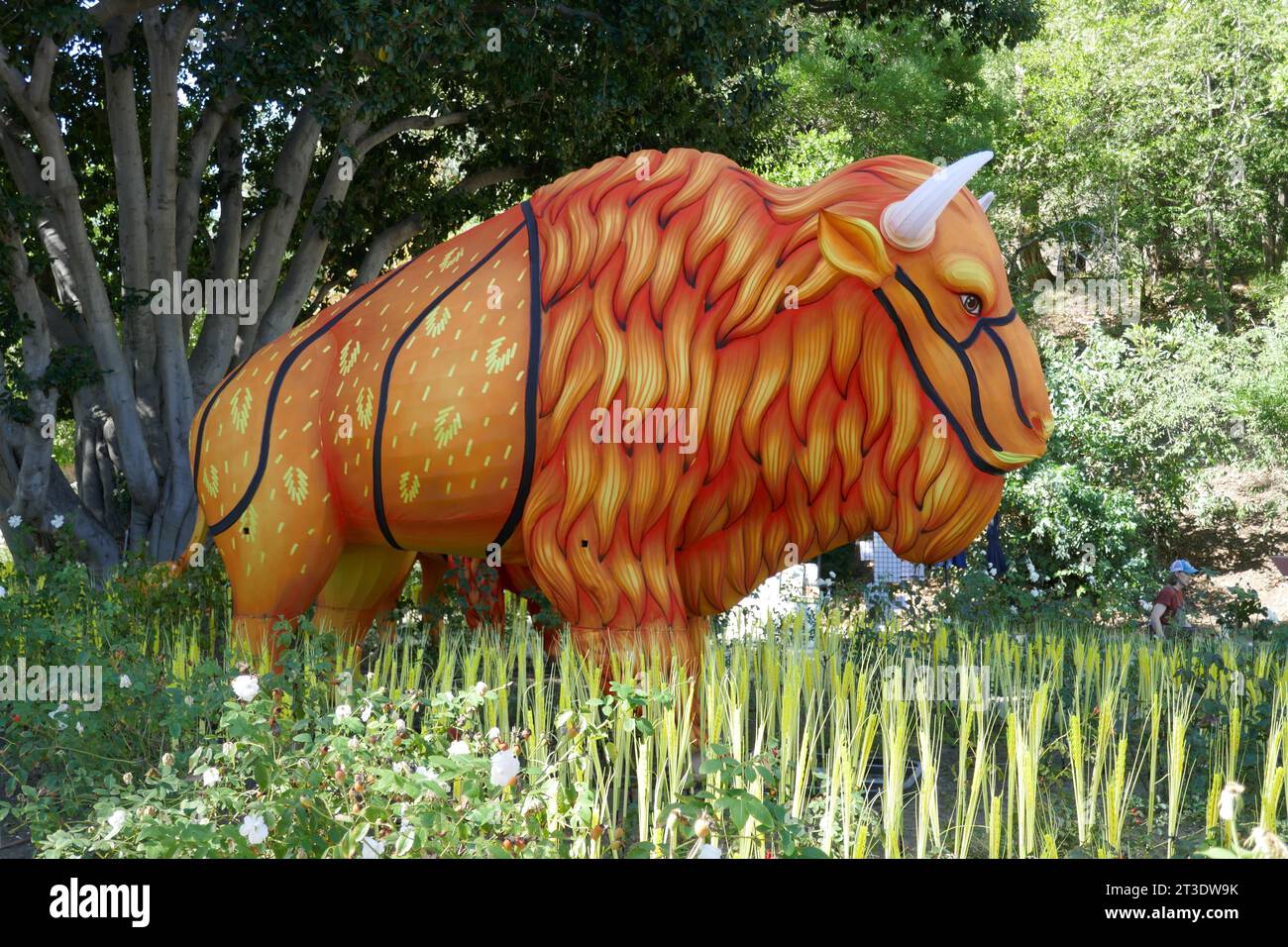 Los Angeles, California, USA 16th October 2023 Zoo Lights Bison Buffalo ...