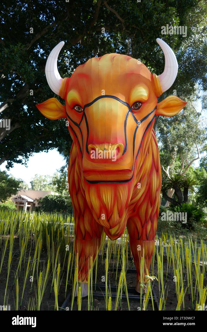 Los Angeles, California, USA 16th October 2023 Zoo Lights Bison Buffalo ...