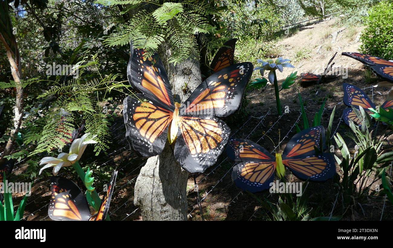 Los Angeles, California, USA 16th October 2023 Butterflies Zoo Lights ...
