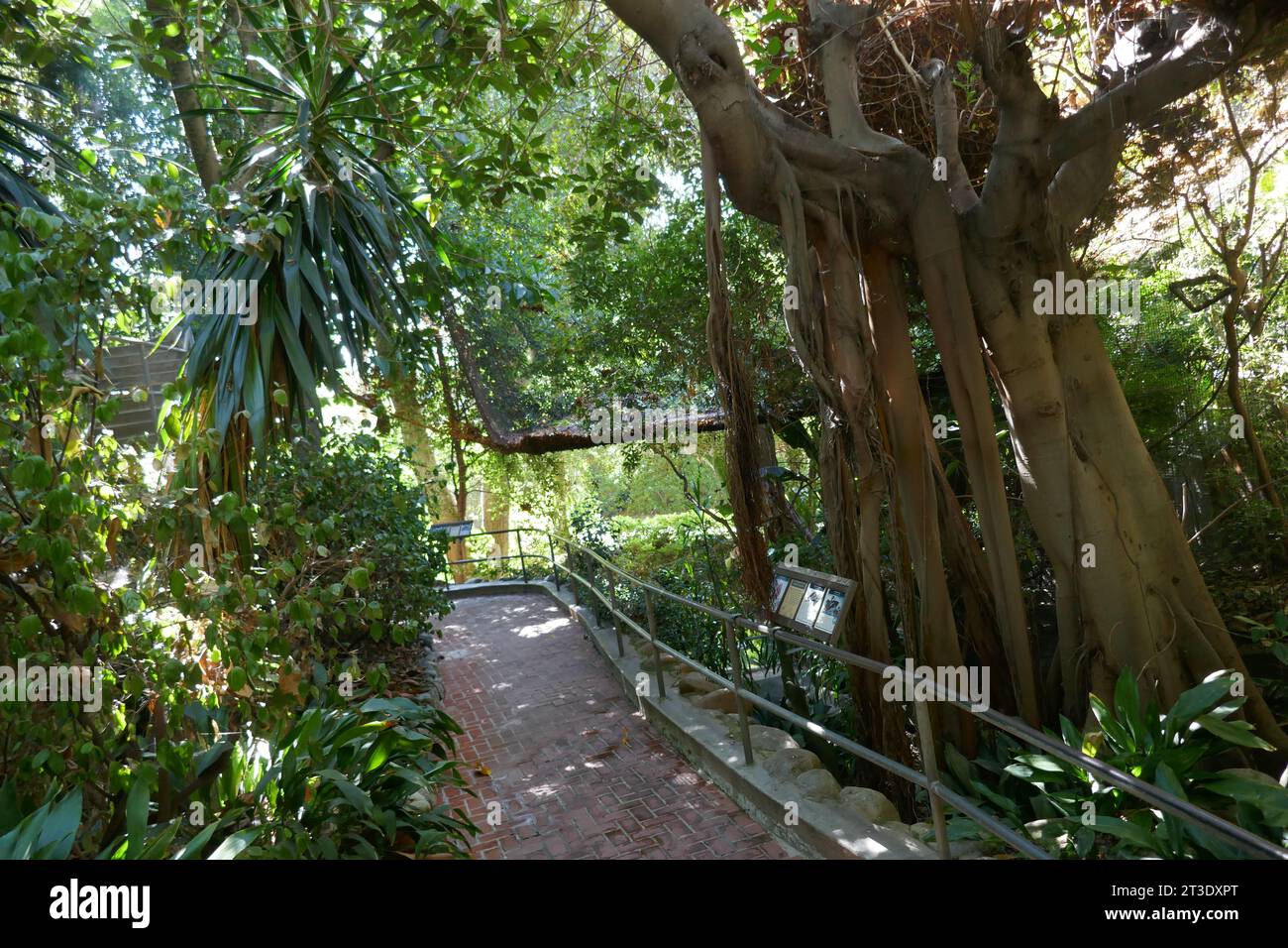 Los Angeles, California, USA 16th October 2023 Aviary at LA Zoo on ...