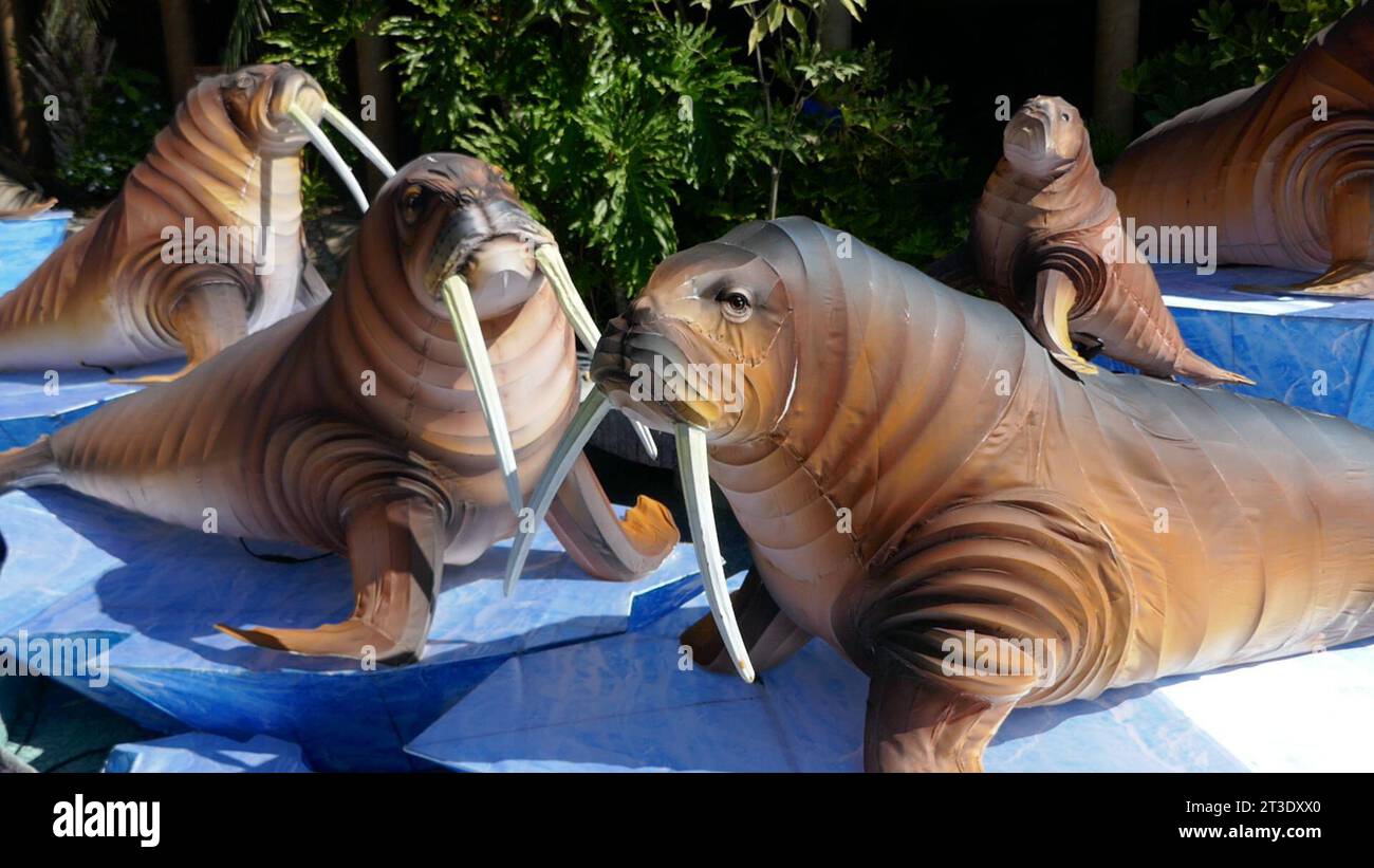Los Angeles, California, USA 16th October 2023 Zoo Lights Walruses at ...