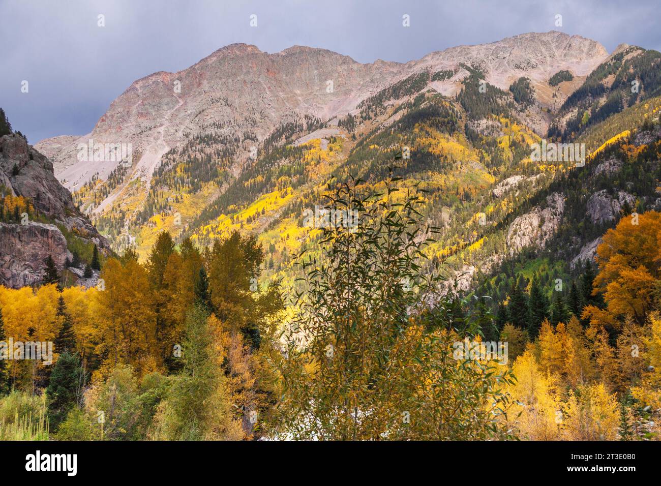 View from train ride on Durango and Silverton Narrow Gauge Railroad in ...