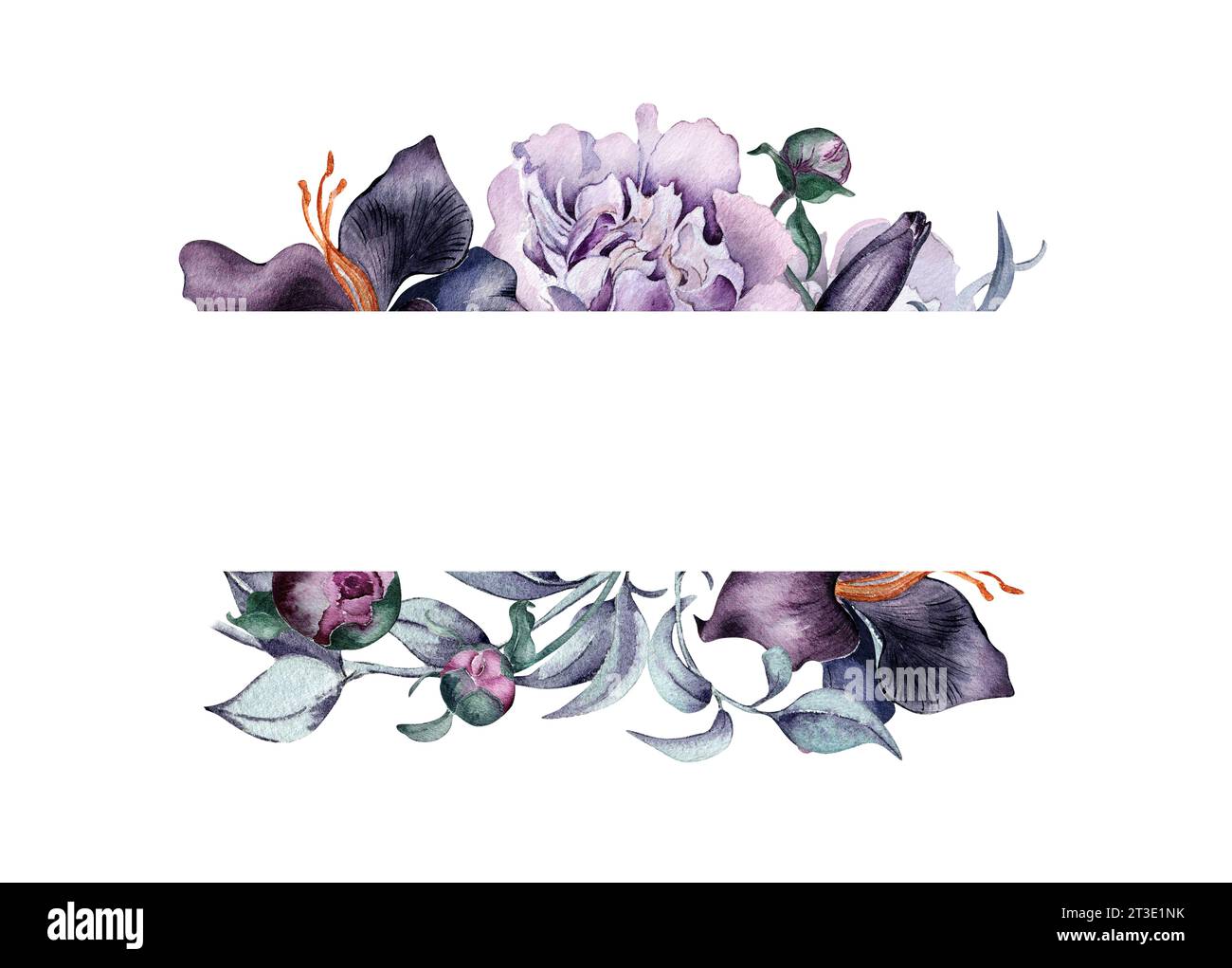 Watercolor frame of purple pink lily flowers isolated on white. Gothic ...