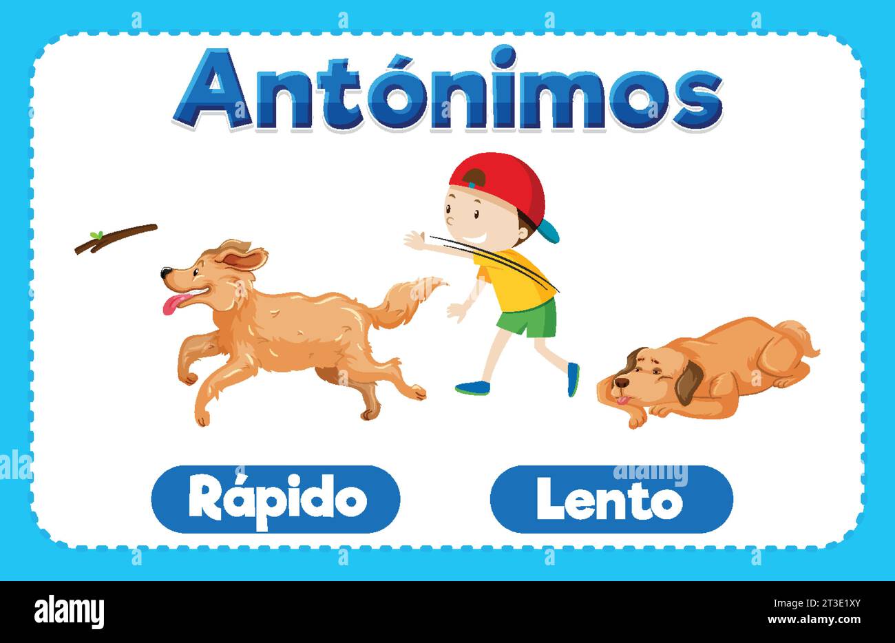 A vector cartoon illustration depicting the antonyms 'Rapido' and ...