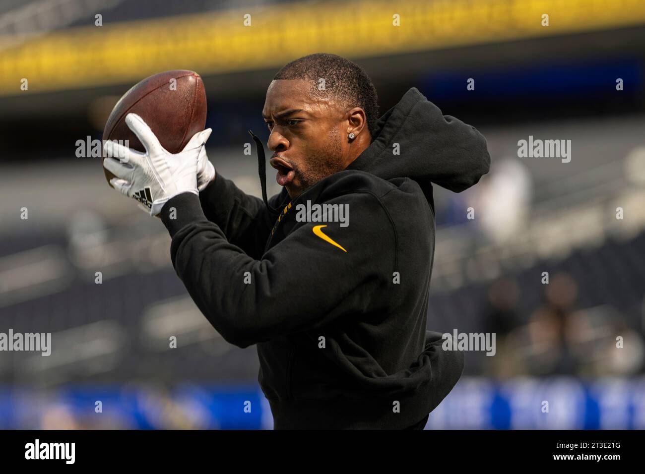 Pittsburgh Steelers wide receiver Allen Robinson II (11) catches the ...