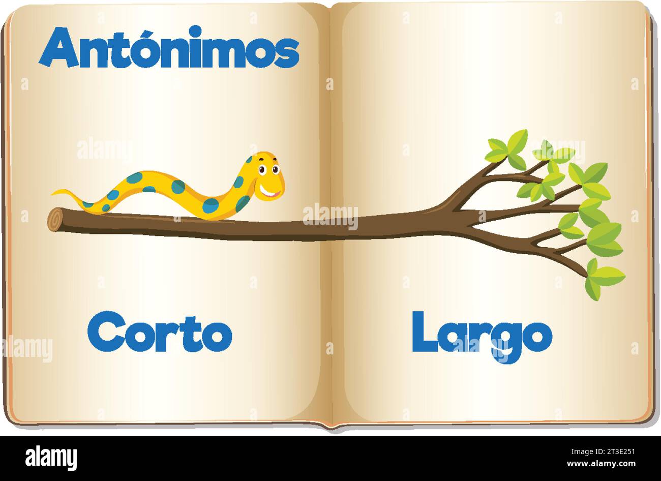 Illustrated word cards in Spanish for teaching the antonyms 'short' and ...