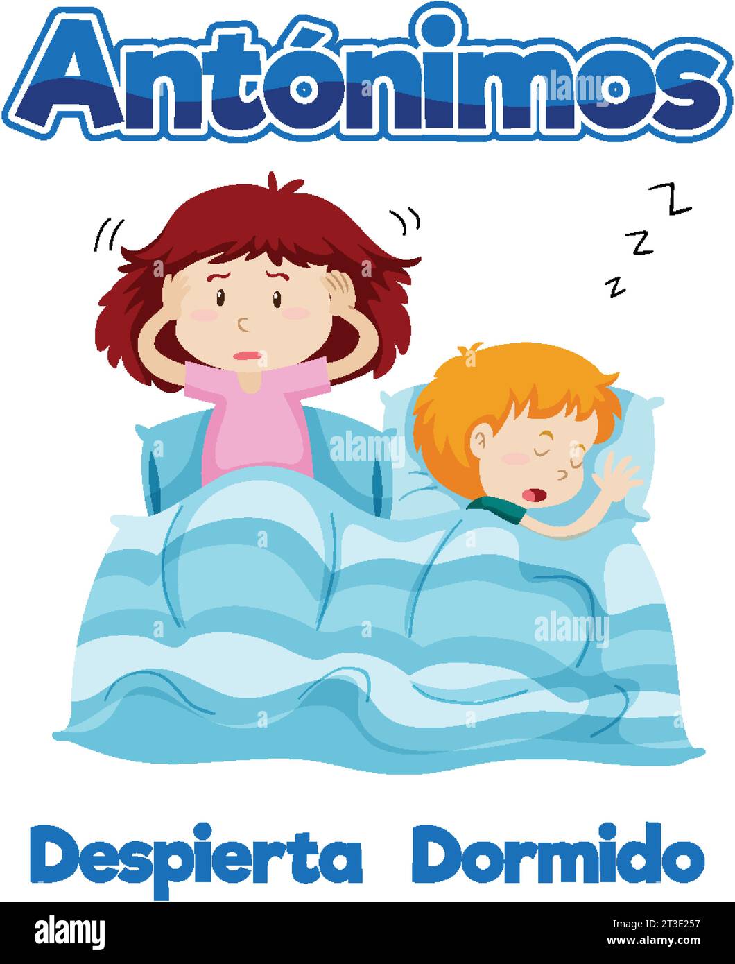 A vector cartoon illustration depicting the Spanish words for awake and ...