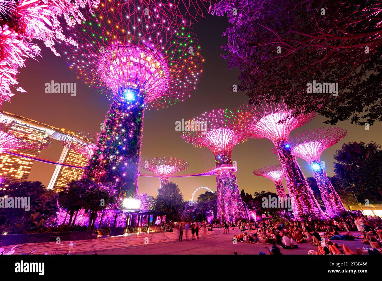 Supertrees, trees are illuminated by different lights in Gardens by the ...