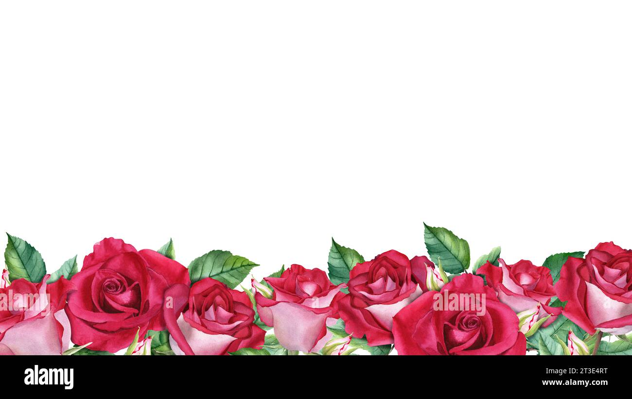 Banner, border with red rose blooms, buds and leaves. Watercolor ...