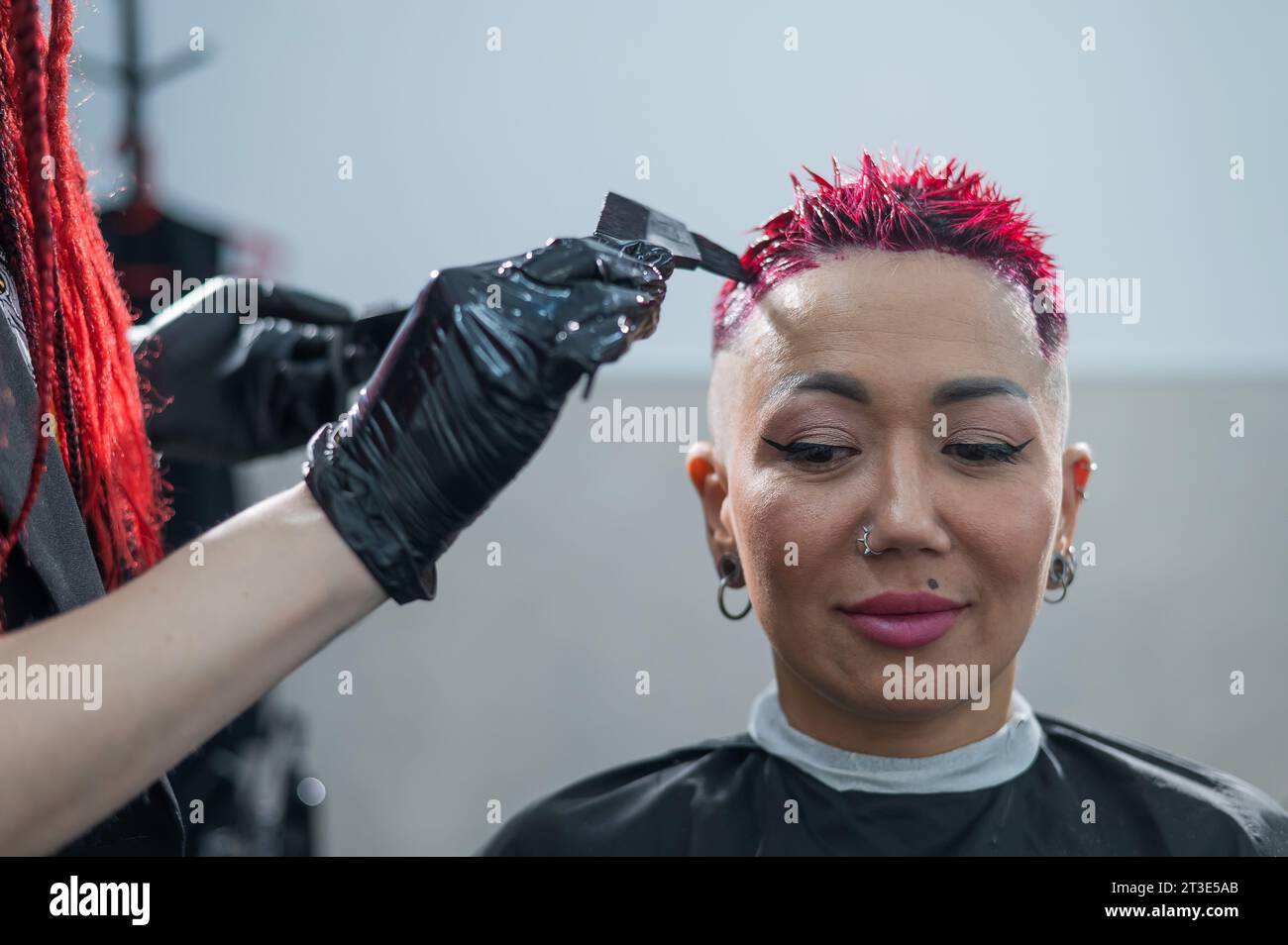 The hairdresser dyes the hair of an Asian woman in pink. Short extreme ...
