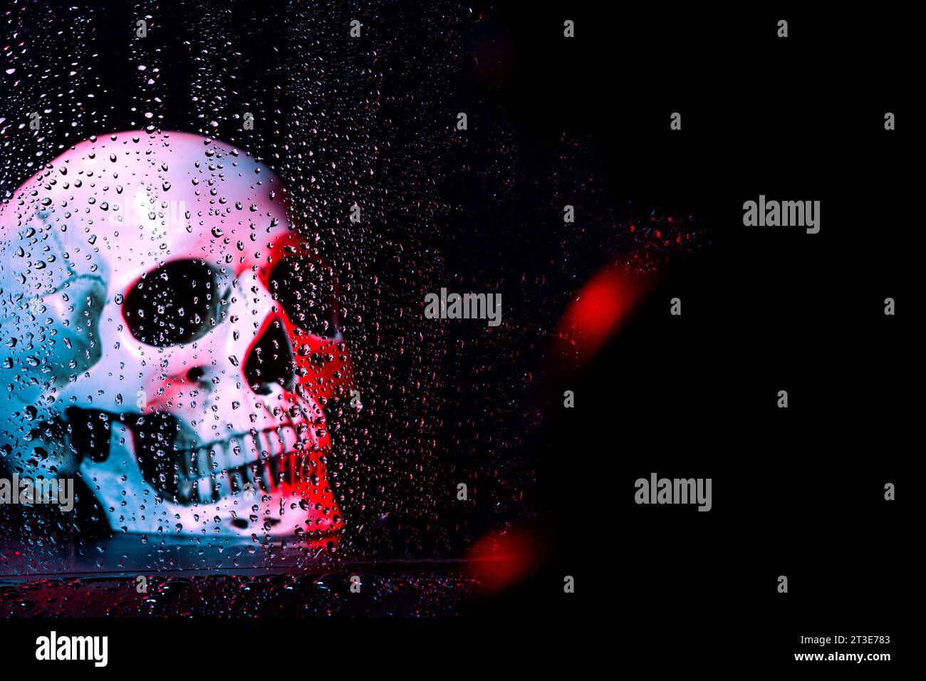 Human skull head with water drop in window in a dark background. Scary ...