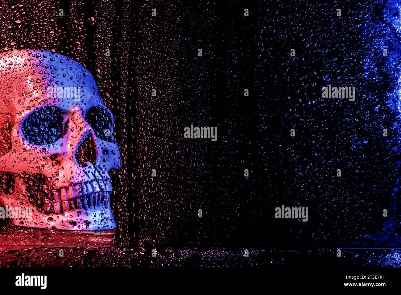 Human skull head with water drop in window in a dark background. Scary ...