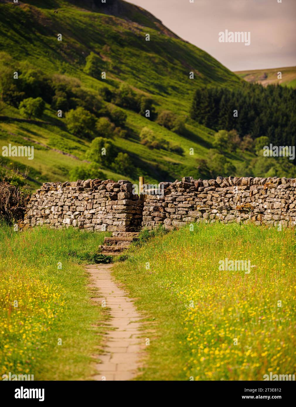 Muker meadow, with its hay barns and dry stone walls the signature of ...