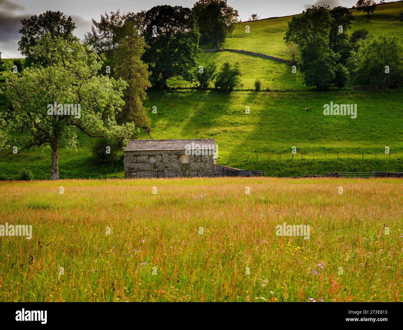 Muker meadow, with its hay barns and dry stone walls the signature of ...