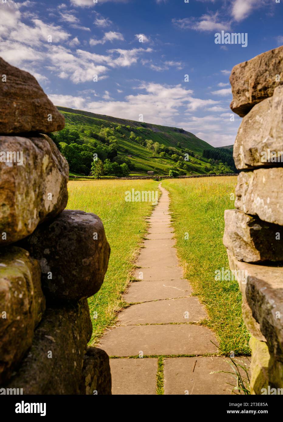 Muker meadow, with its hay barns and dry stone walls the signature of ...