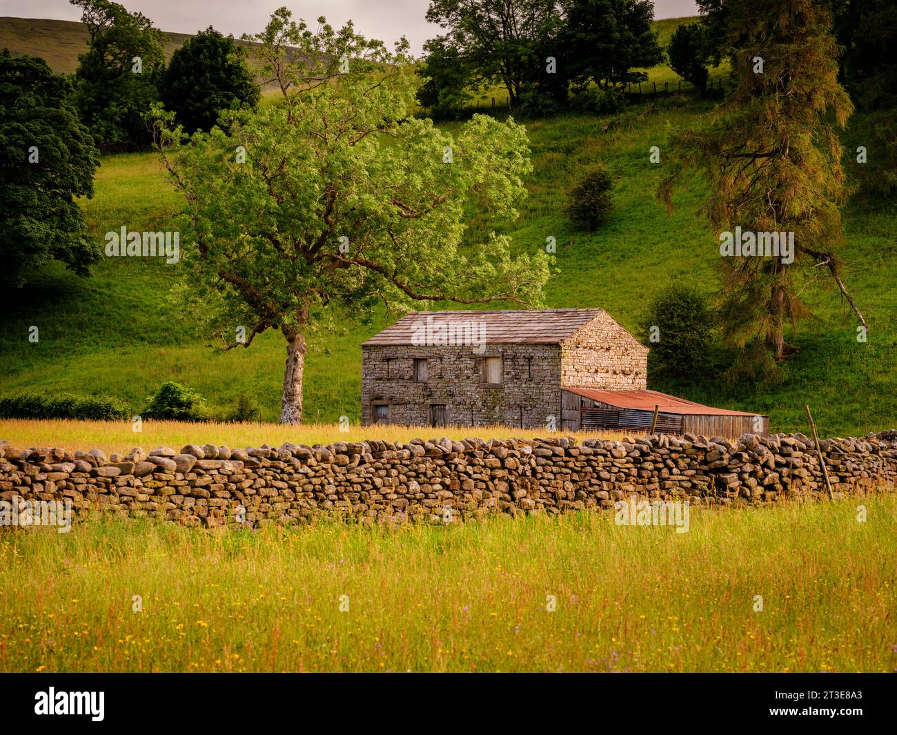 Muker meadow, with its hay barns and dry stone walls the signature of ...