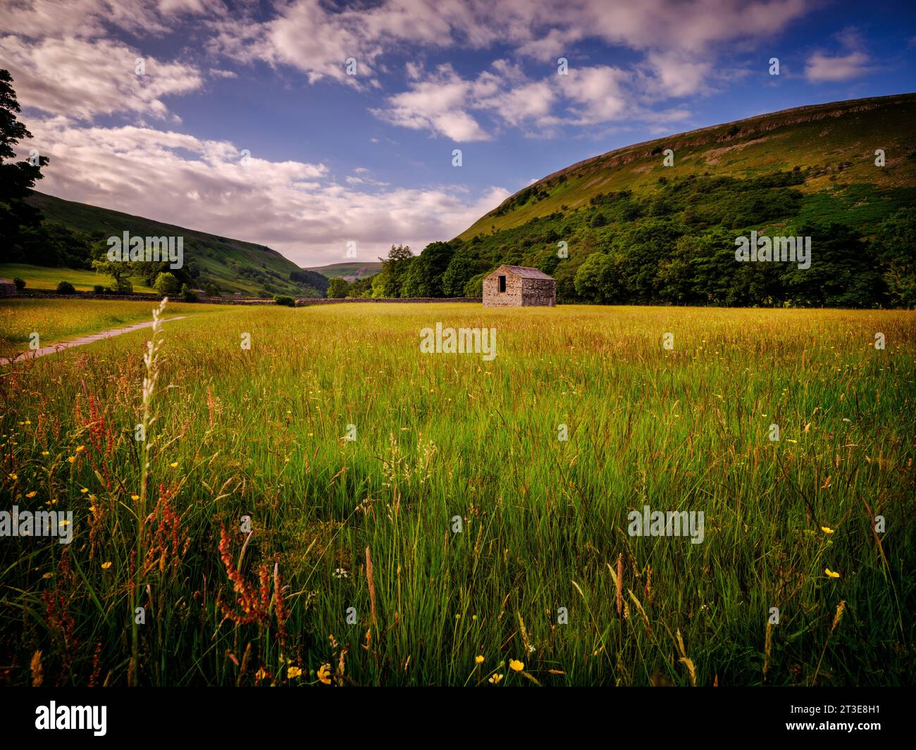 Muker meadow, with its hay barns and dry stone walls the signature of ...