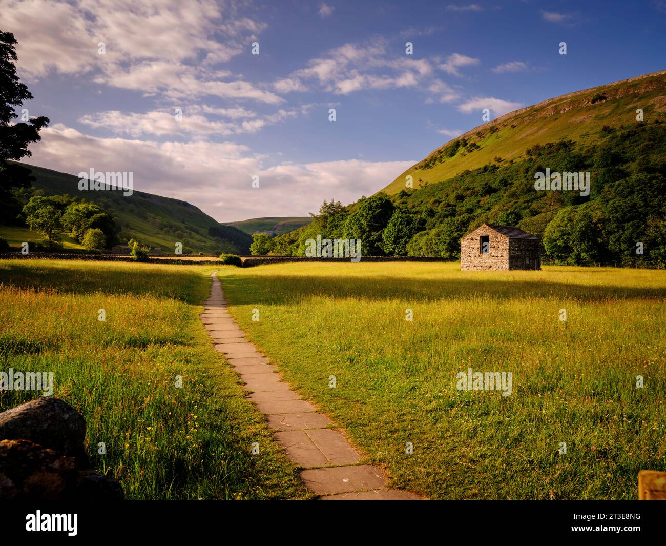 Muker meadow, with its hay barns and dry stone walls the signature of ...