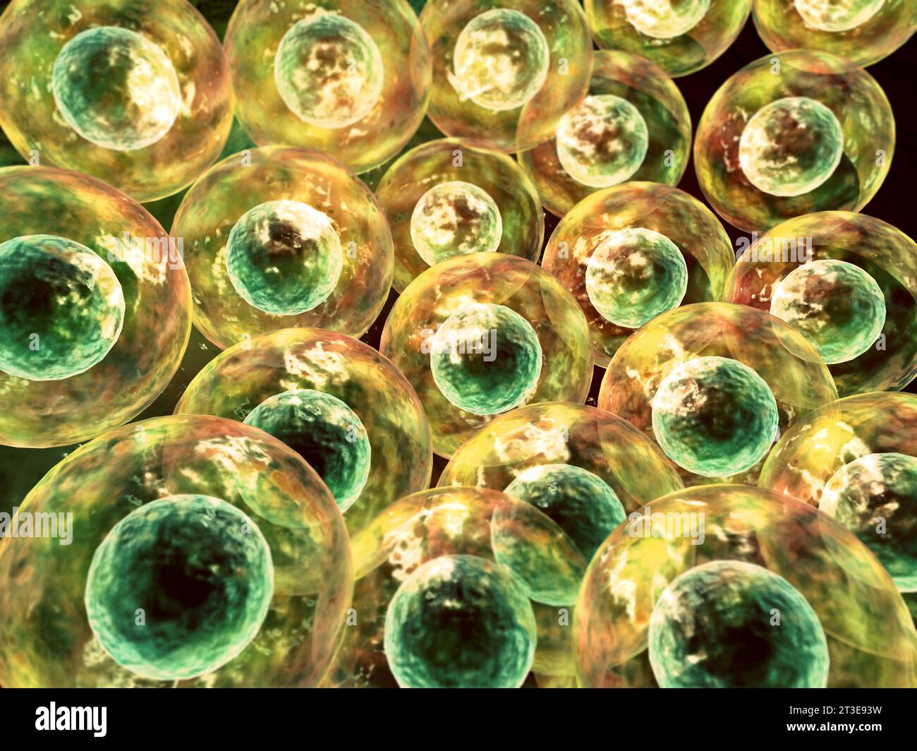 Human cells background. 3d render Stock Photo - Alamy