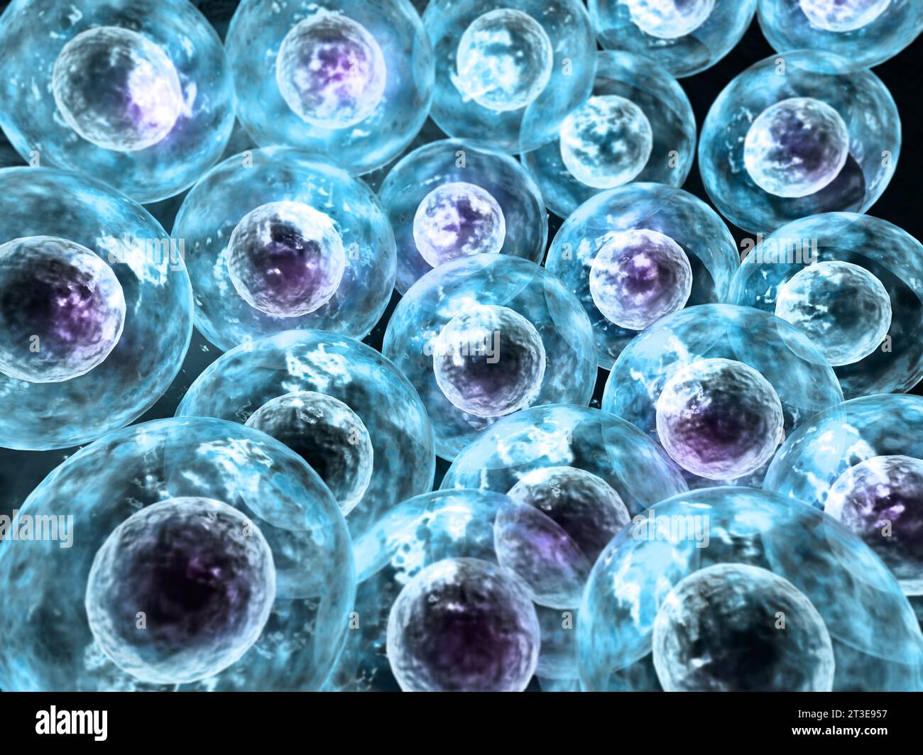 Human cells background. 3d render Stock Photo - Alamy