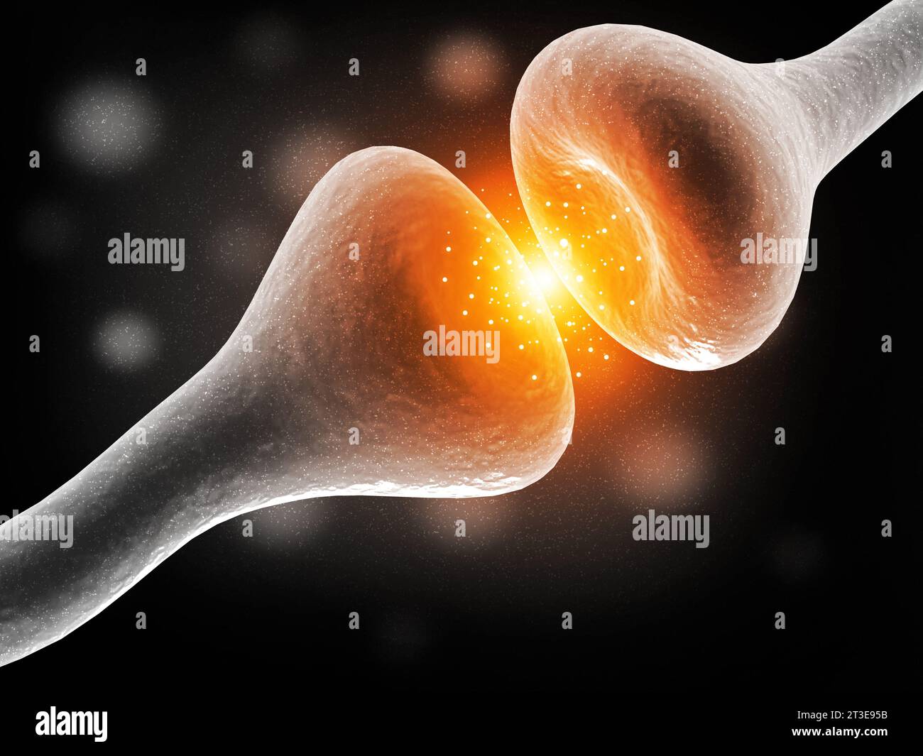 Neural network in the brain. nervous system , Neurons. 3d render Stock ...