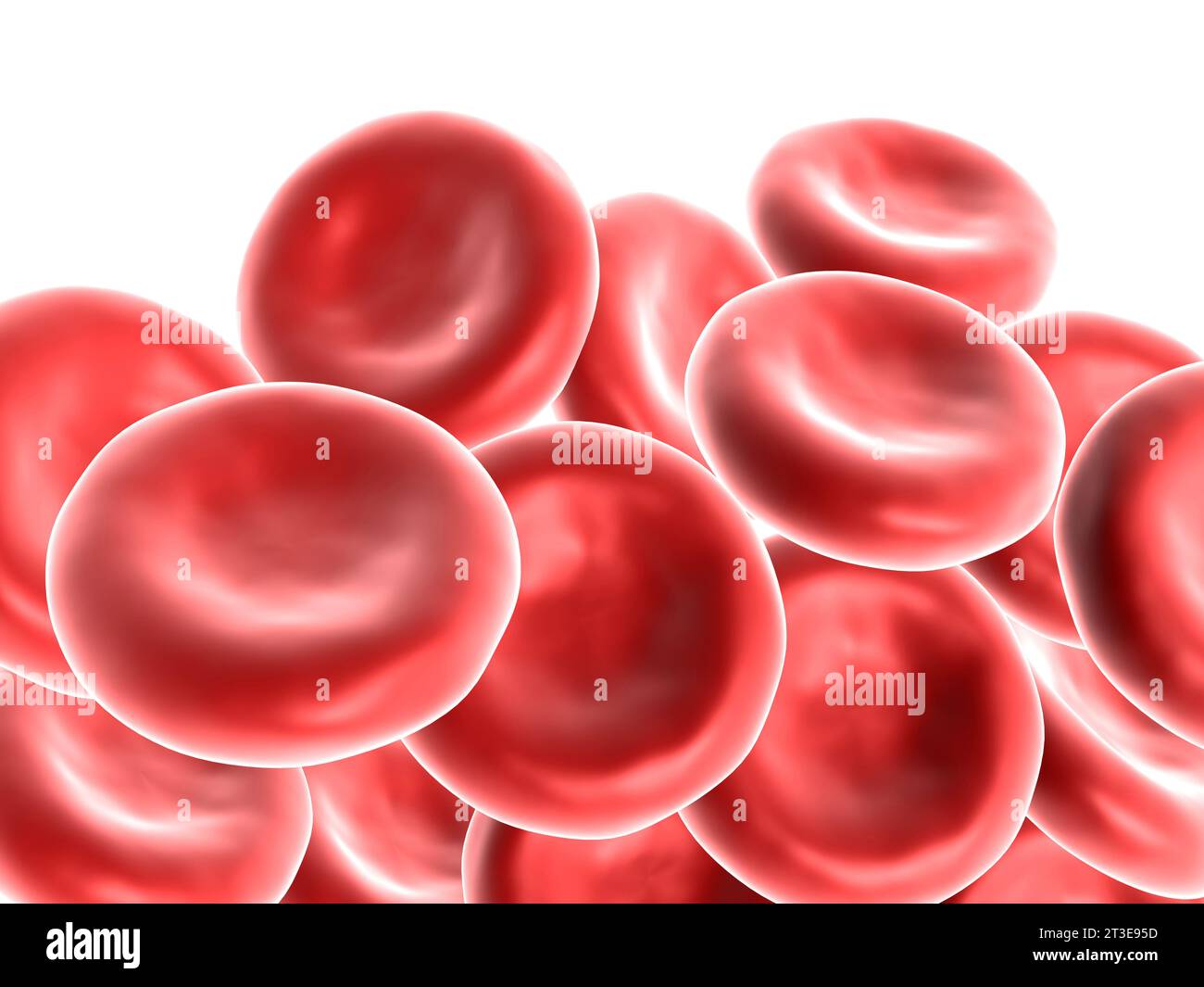 Red blood cells on white background. 3d render Stock Photo - Alamy