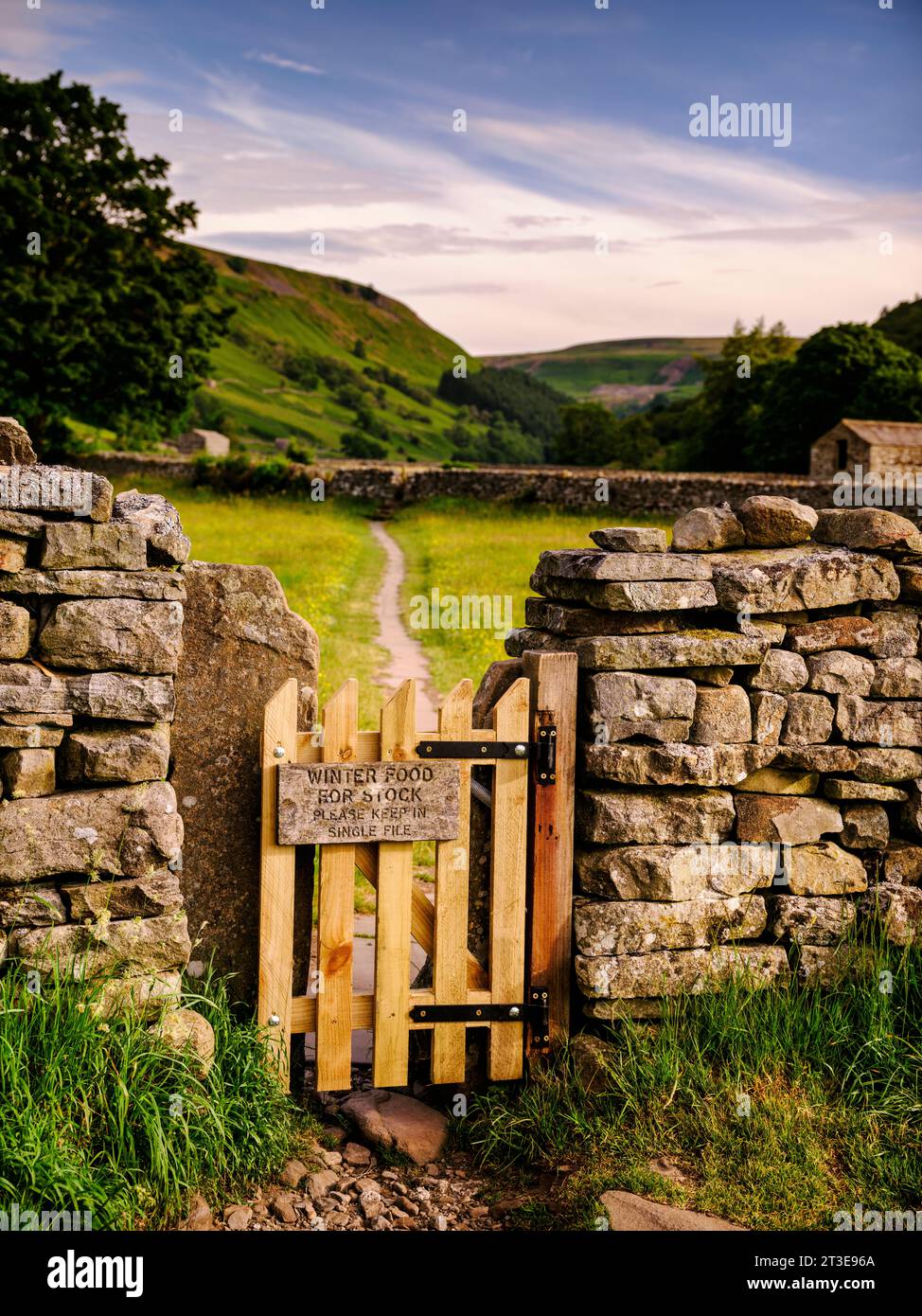 Muker meadow, with its hay barns and dry stone walls the signature of ...