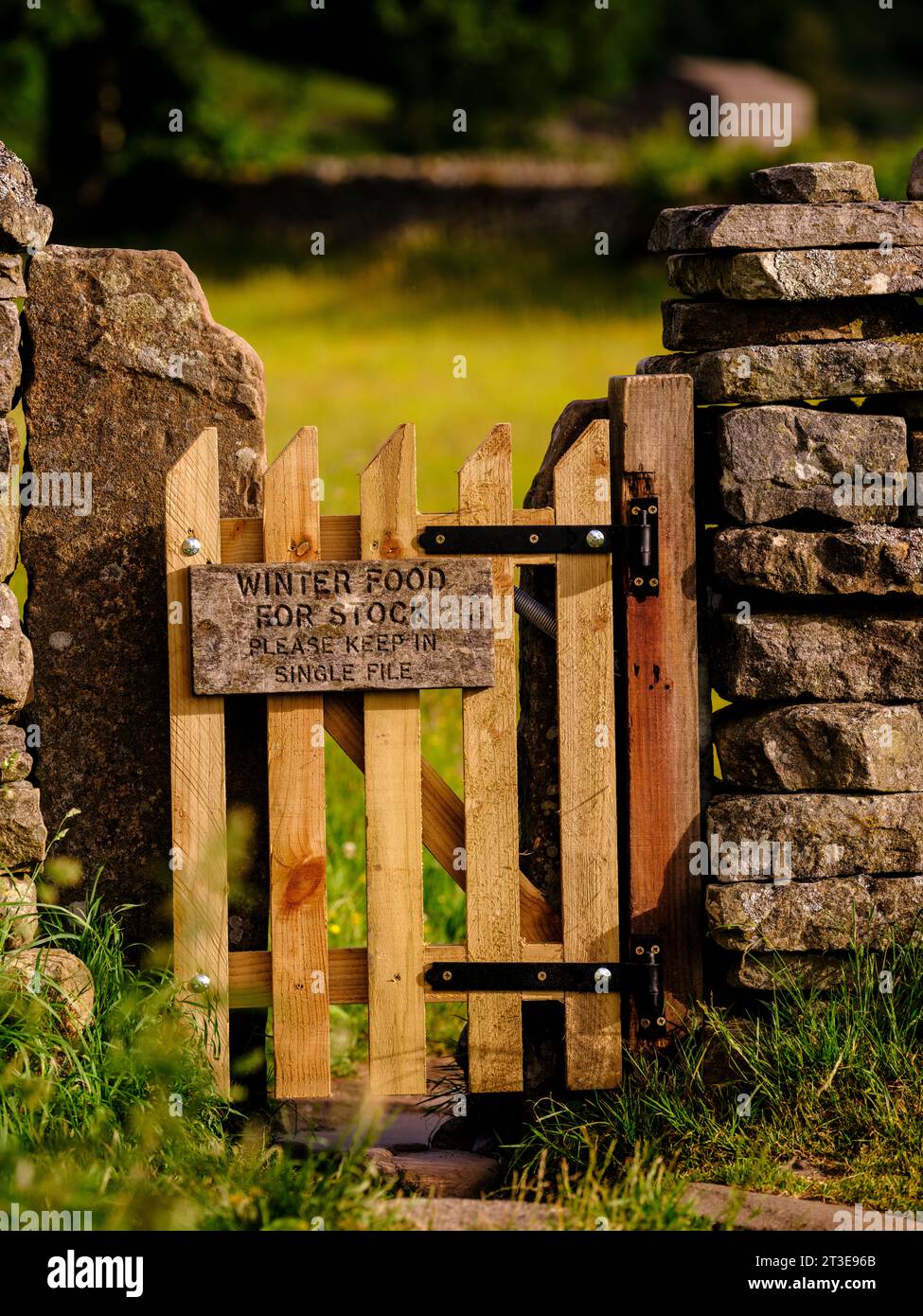 Muker meadow, with its hay barns and dry stone walls the signature of ...