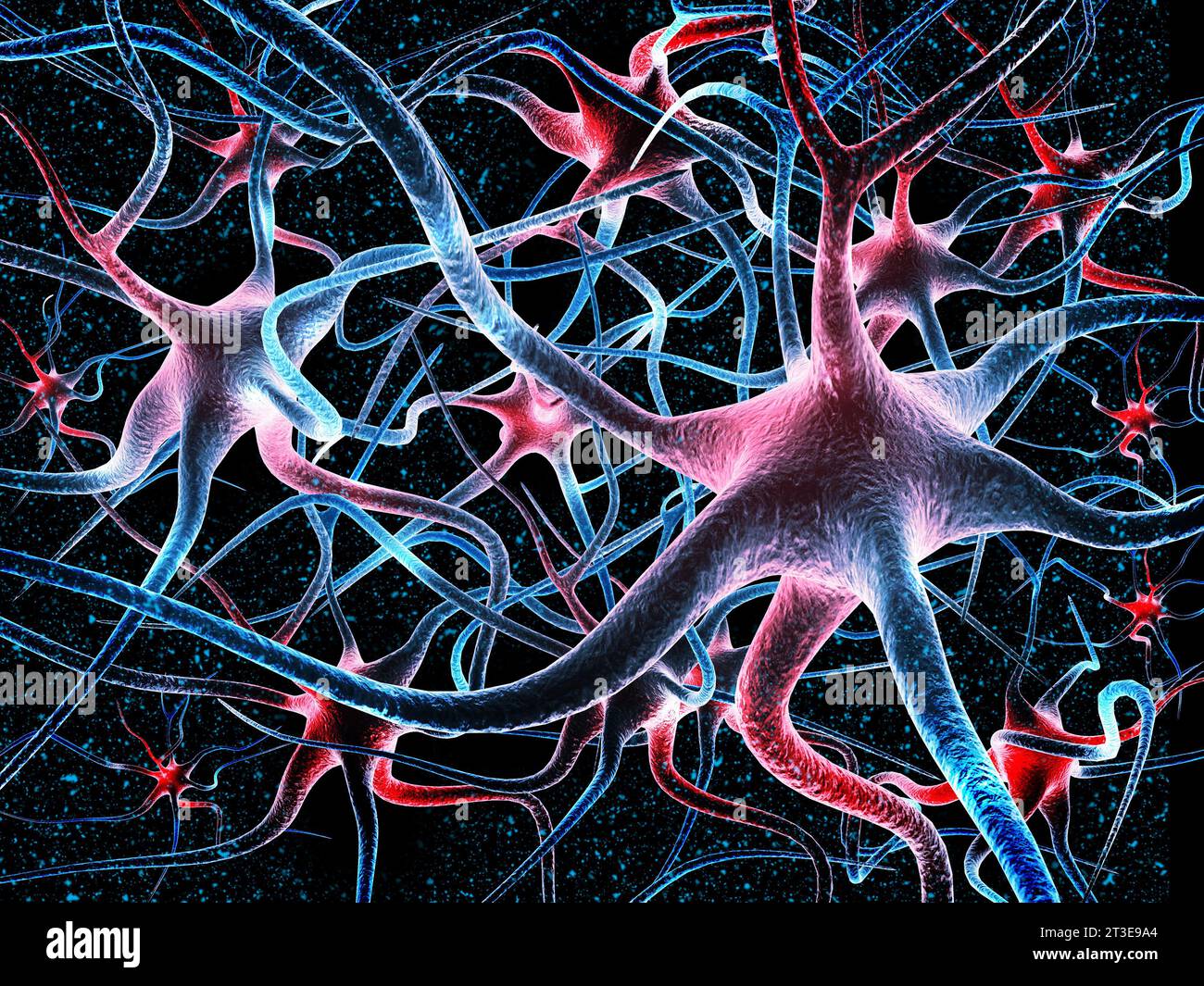 Neural network in the brain. nervous system, Neurons. 3d render Stock ...