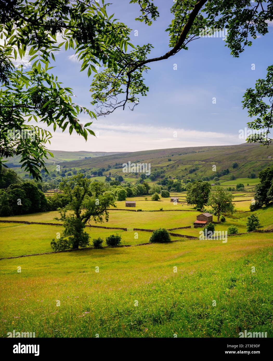 Muker meadow, with its hay barns and dry stone walls the signature of ...