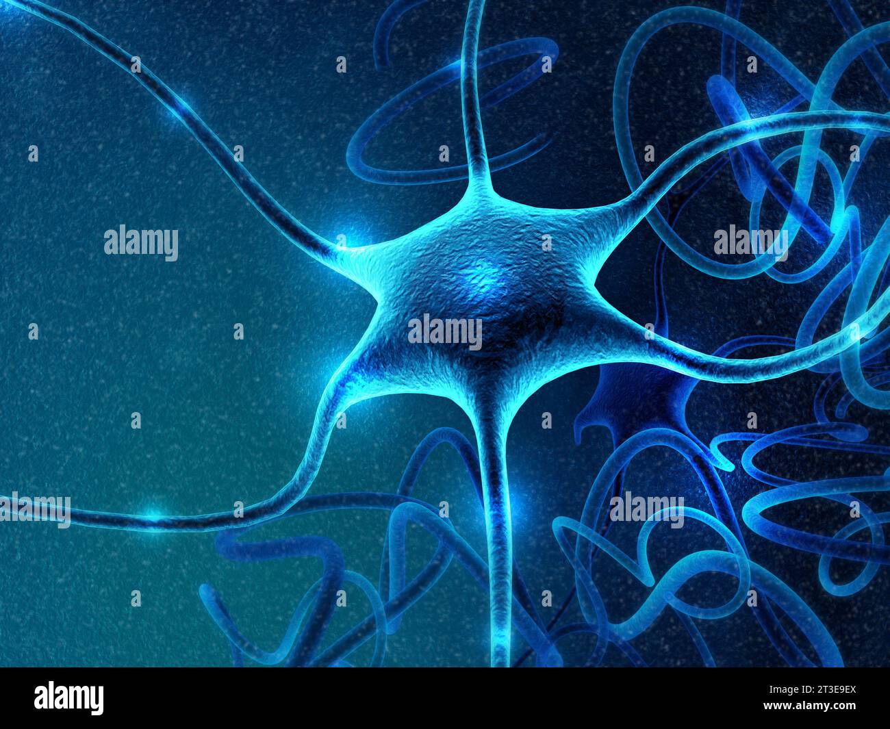 Neural network in the brain. nervous system , Neurons. 3d render Stock ...