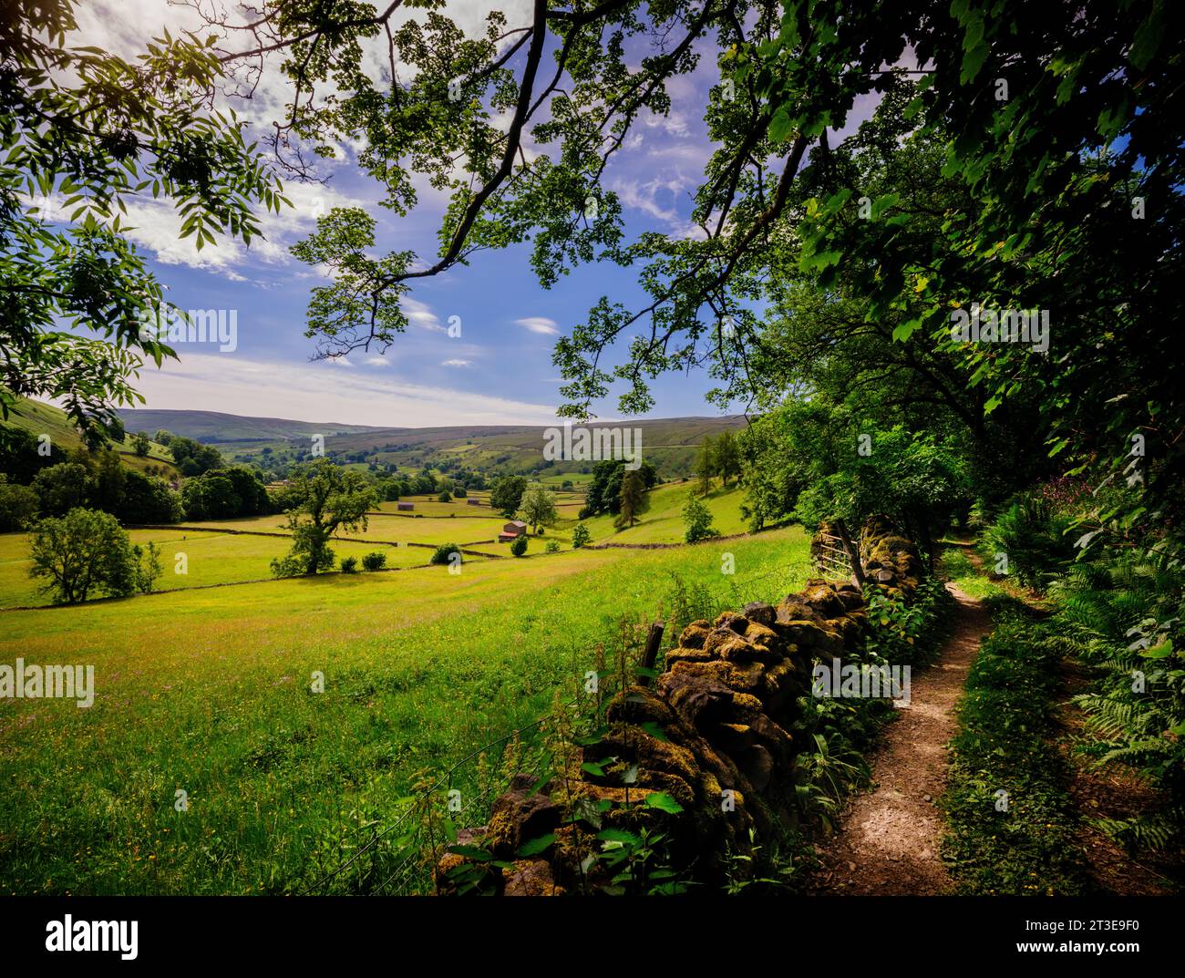 Muker meadow, with its hay barns and dry stone walls the signature of ...