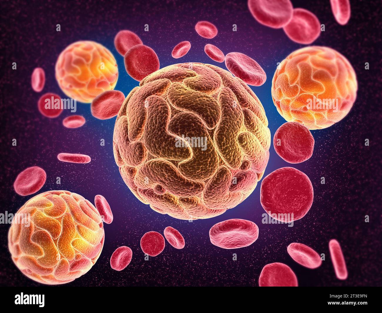 Virus infecting the red bloods. 3d render Stock Photo - Alamy