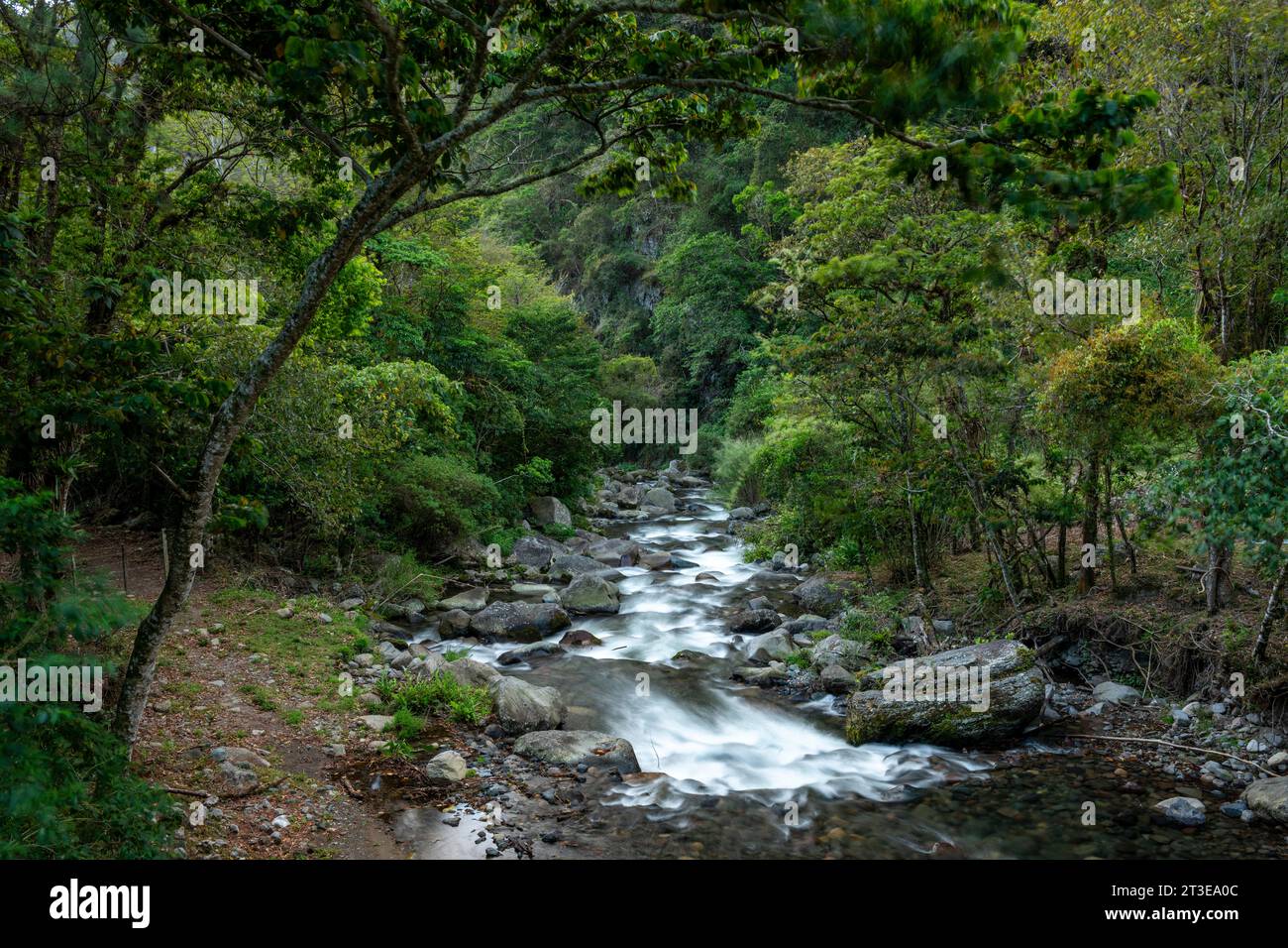 The Caldera mountain river, Boquete, Chiriqui highlands, Panama ...